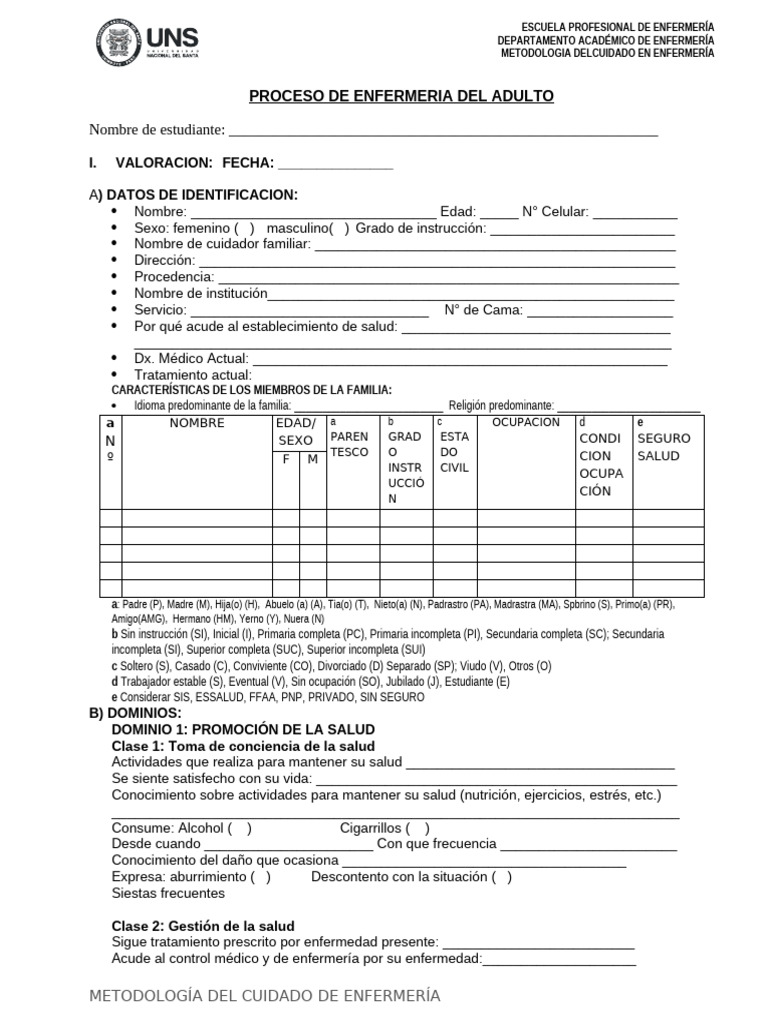 GUIA PAE Valoración - Dominios | PDF | Enfermería | Las emociones