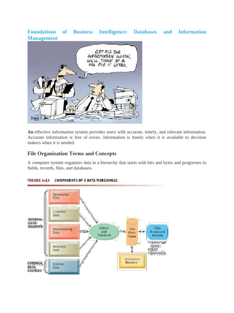 Ch-4 Foundations of Business Intelligence Databases and Information Management | PDF | Databases ...