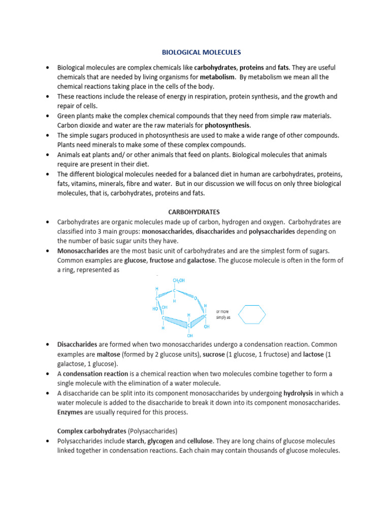 Biological Molecules Overview and Tests | PDF | Carbohydrates | Glucose