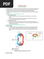 Grade 10 JIT TERM 1&2 Transport in Mammals | PDF | Atrium (Heart ...