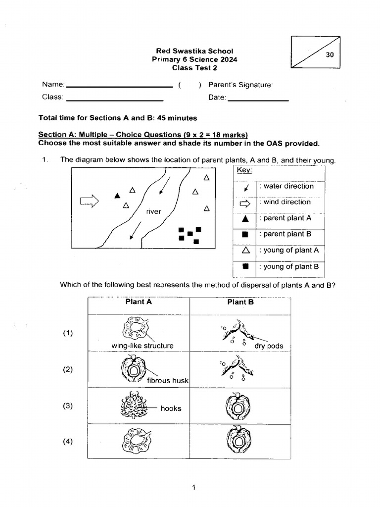 Primary 6 Class Test 2 | PDF