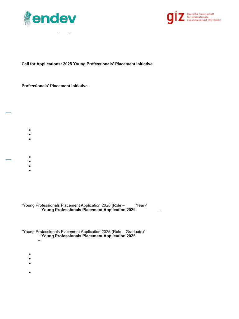 2025 Young Professionals Placement Call | PDF