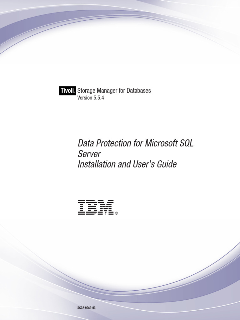 Data Protection For Microsoft SQL Server Installation and User's Guide | PDF | Databases ...