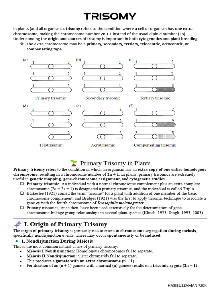 Understanding Primary Trisomy in Plants | PDF | Meiosis | Ploidy