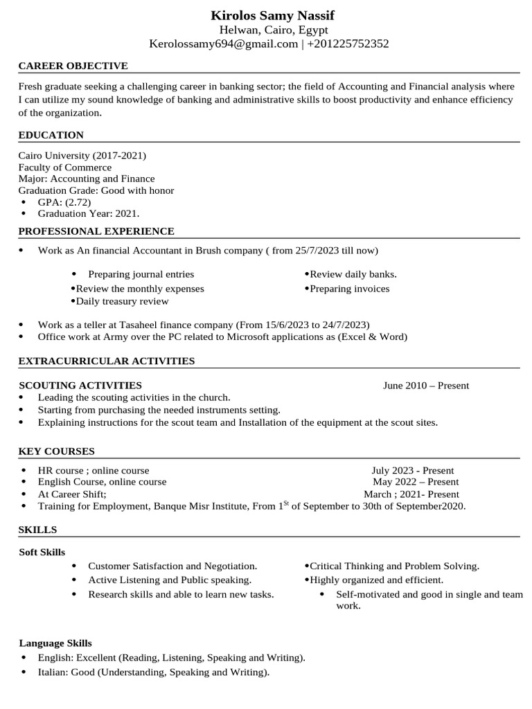 Kerolos Samy CV | PDF | Depreciation | Economies