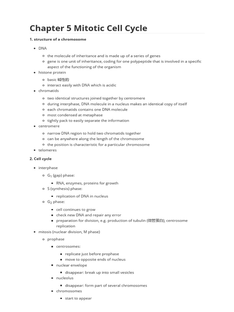 Chapter 5 Mitotic Cell Cycle | PDF | Mitosis | Chromosome