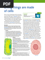 Year 7 - Biological Structures - Cells | PDF | Cell (Biology) | Chloroplast