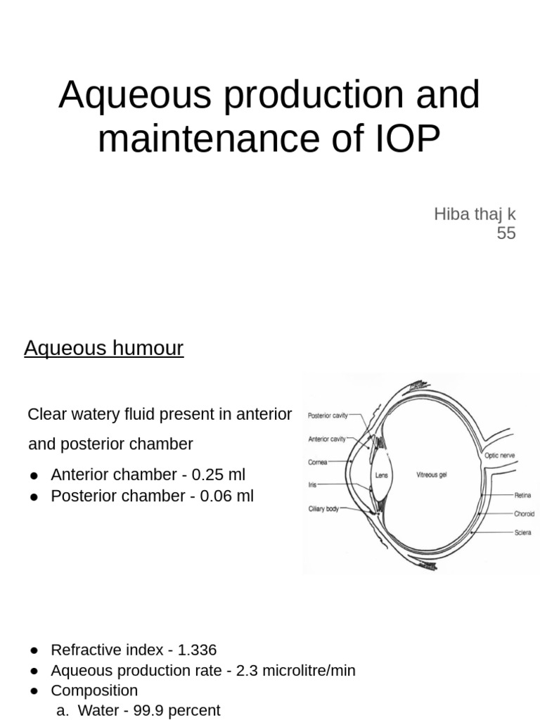 Aqueous Humour Production and IOP | PDF | Glaucoma | Human Eye