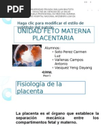 Cotiledones en la placenta y su función | PDF | Placenta | Parto
