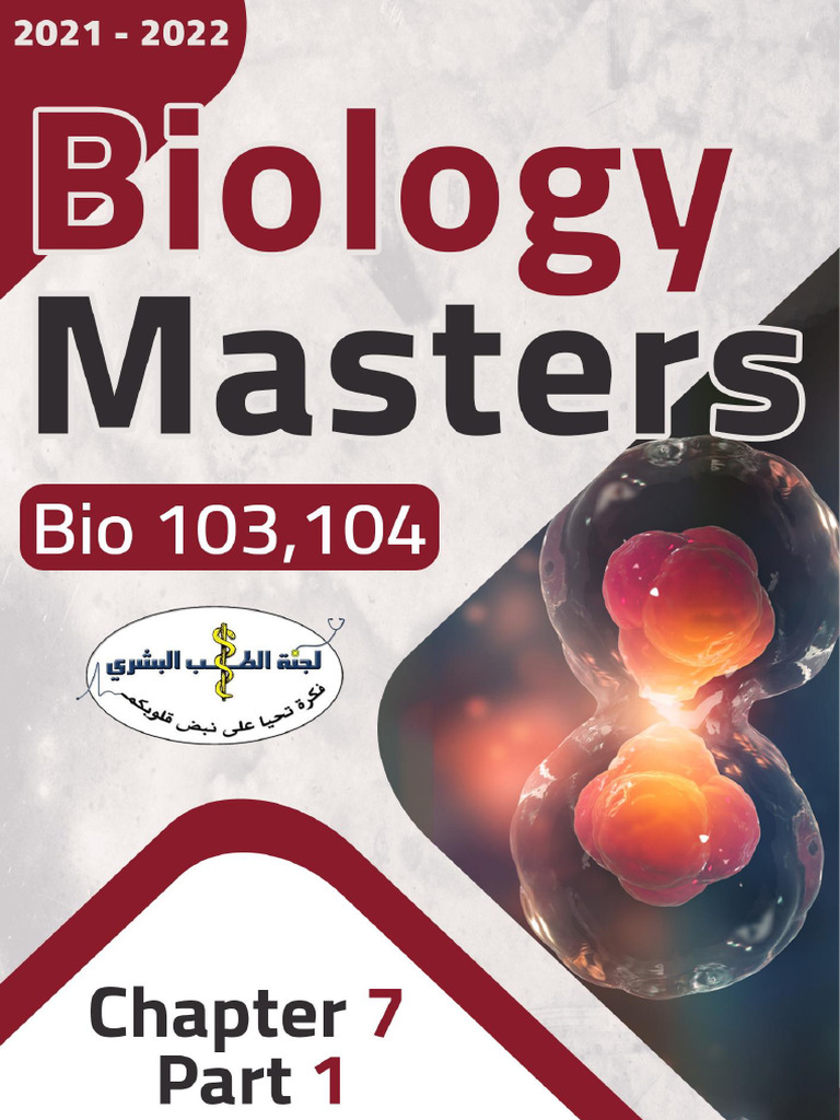 Chapter 7 Part 1 | PDF