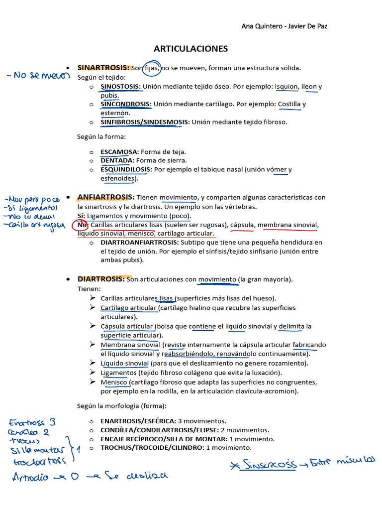 Esquemas 1ºparcial Anato I | PDF | Articulación | Hueso
