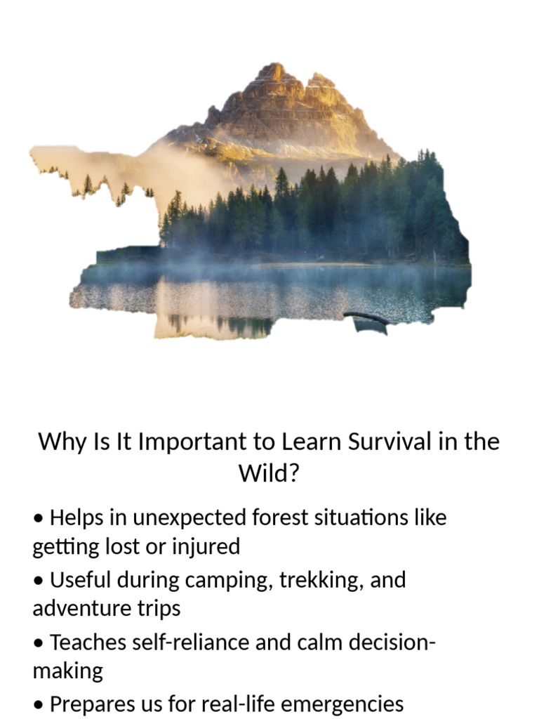 Survival in The Wild Presentation | PDF | Water | Survival Skills