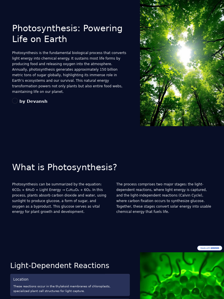 Photosynthesis Powering Life On Earth | PDF | Photosynthesis | Metabolism