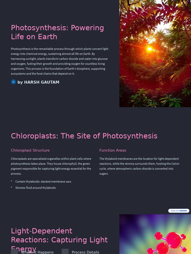 Photosynthesis Powering Life On Earth | PDF | Photosynthesis | Chloroplast
