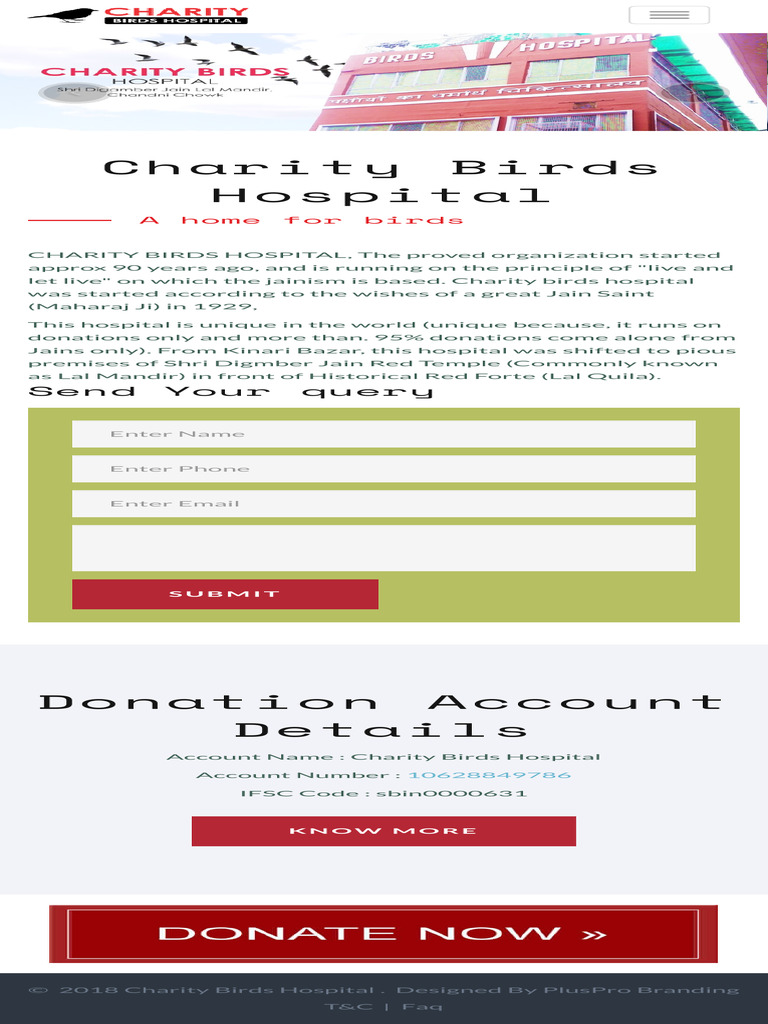 Charity Birds Hospital Donation Info | PDF