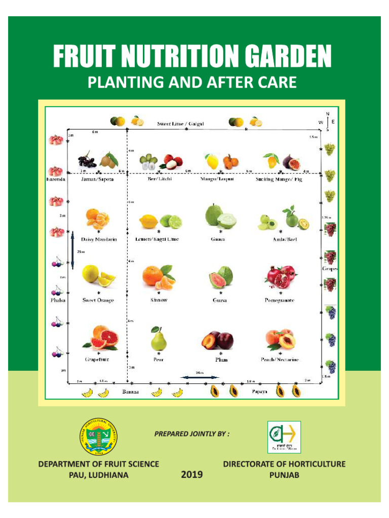 Fruit Nutrition Garden | PDF