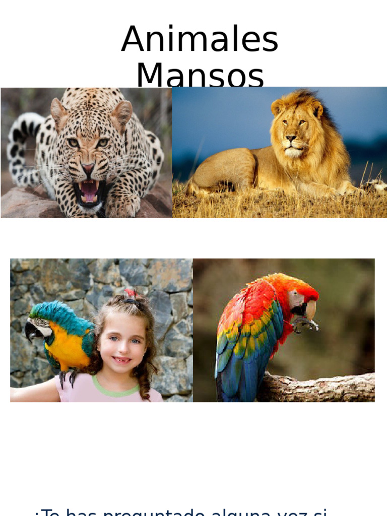 Animales Mansos: La Vida en L Atierra Nueva | PDF
