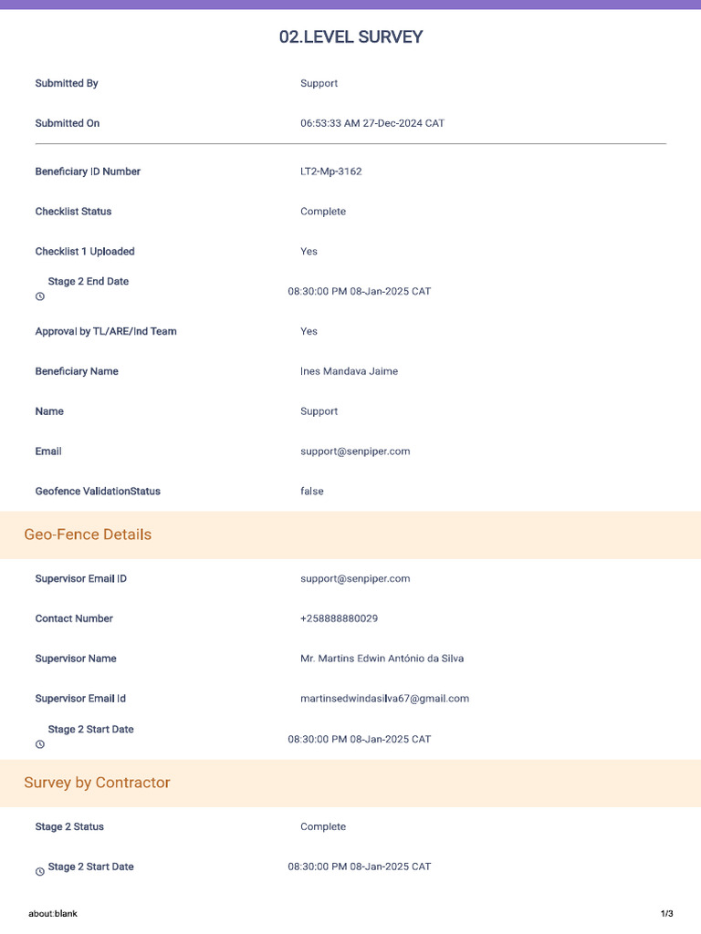 Level Survey | PDF