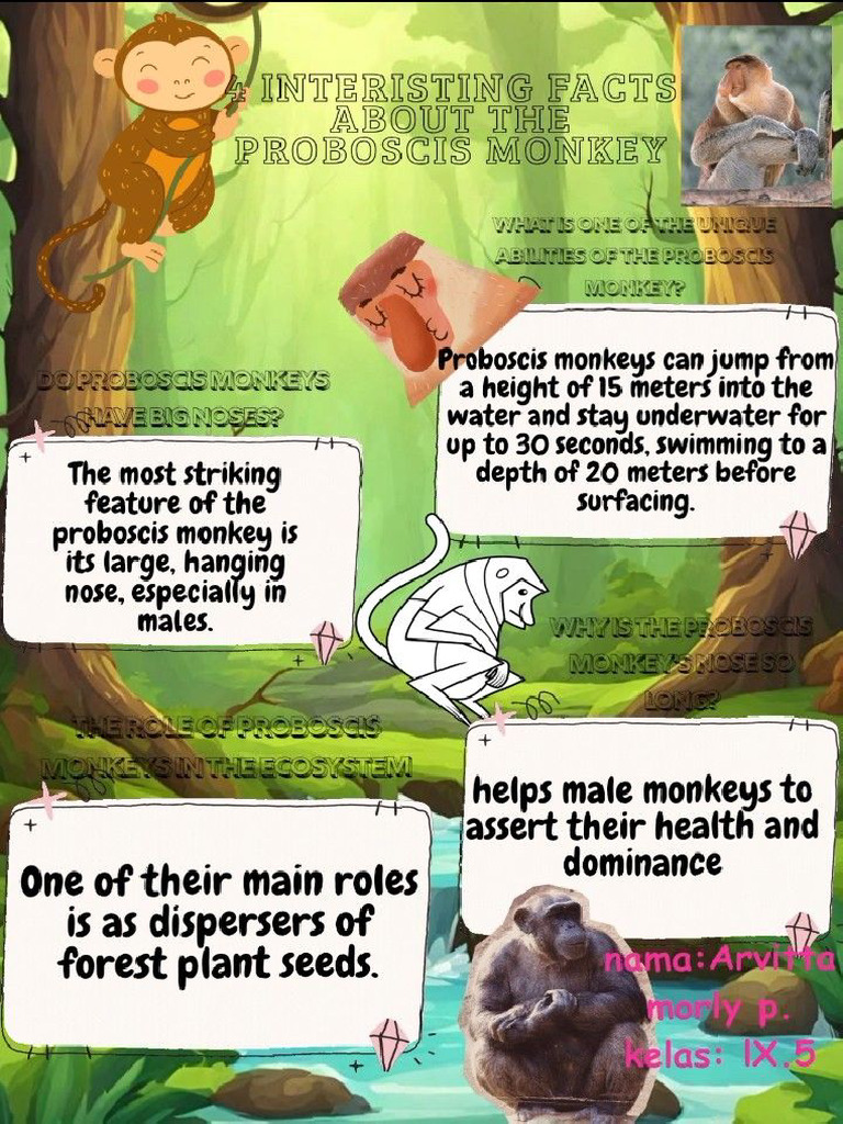 4 Interisting Facts About The Proboscis Monkey | PDF