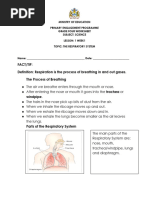 Circulatory System Worksheet Grade 6 | PDF