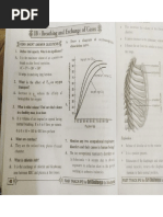 Botany Practical Record Book | PDF | Mitosis | Leaf