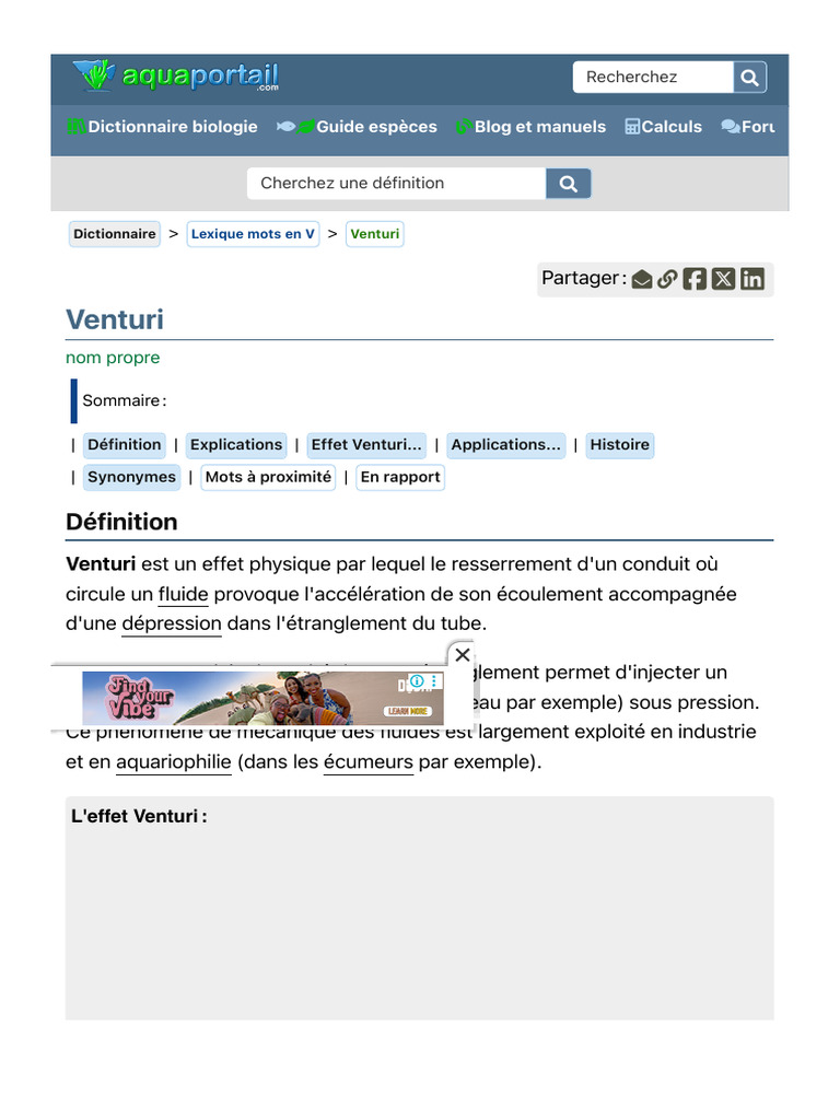 Effet Venturi : Principe et Applications | PDF | Pression | Fluide