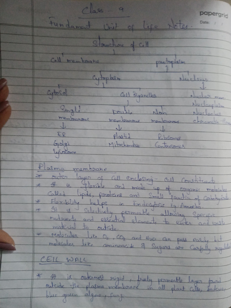 Biology - Fundamental Unit of Life - Notes | PDF | Biology | Cell Biology