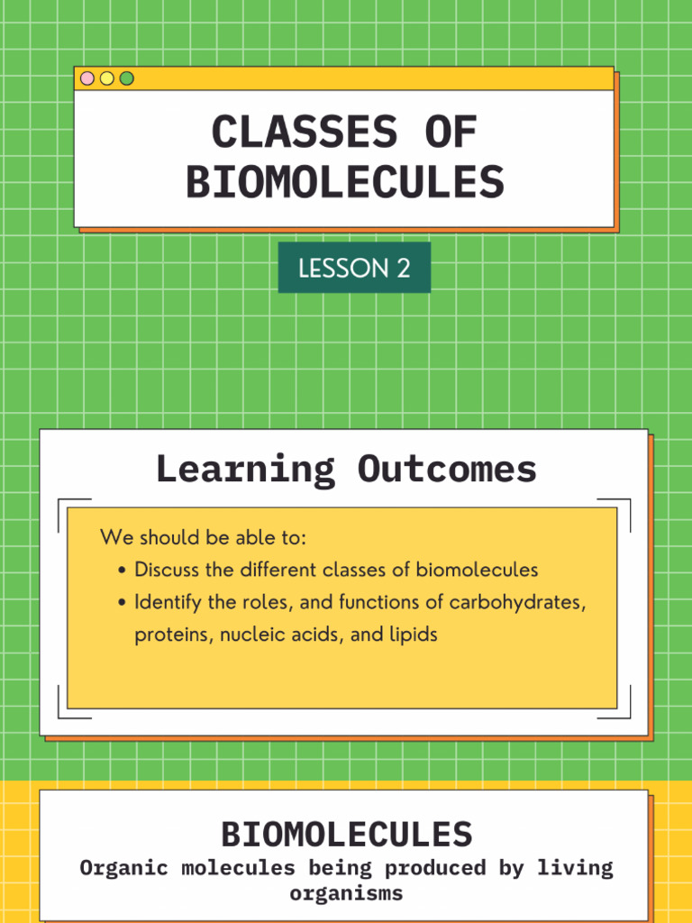 Unit XI Lesson 2 - Classes of Biomolecules | PDF | Carbohydrates | Glucose