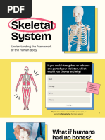The Skeletal System - Skeleton - Living Organisms - KS3 Biology - BBC ...