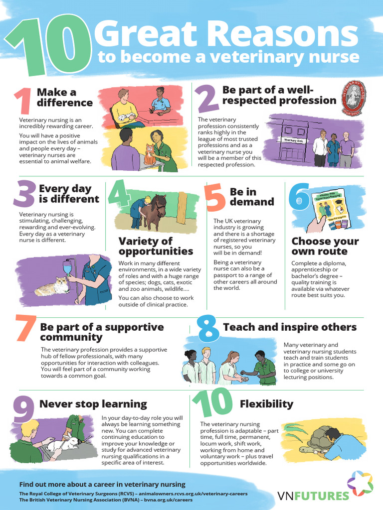 10 Great Reasons To Become A Veterinary Nurse - Poster | PDF ...