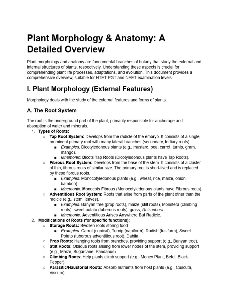 Overview of Plant Morphology & Anatomy | PDF | Leaf | Tissue (Biology)