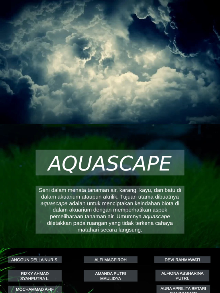 Ihas | PDF