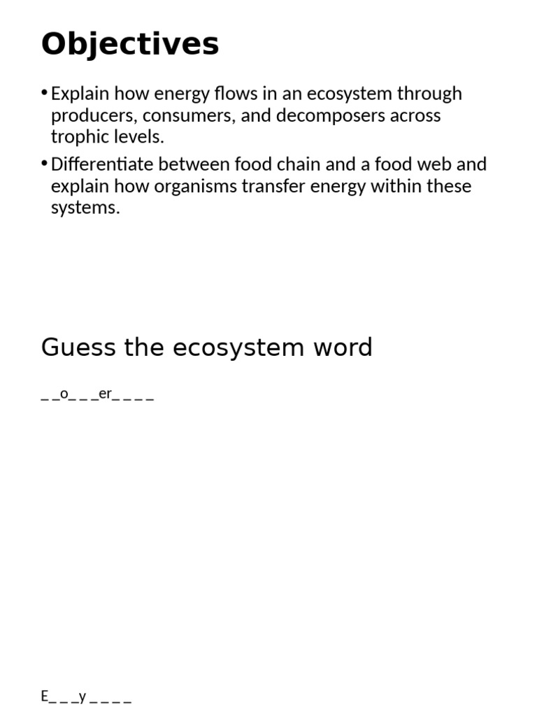 Done March 17 Energy Flow To Ecosystem Presentation1 | PDF