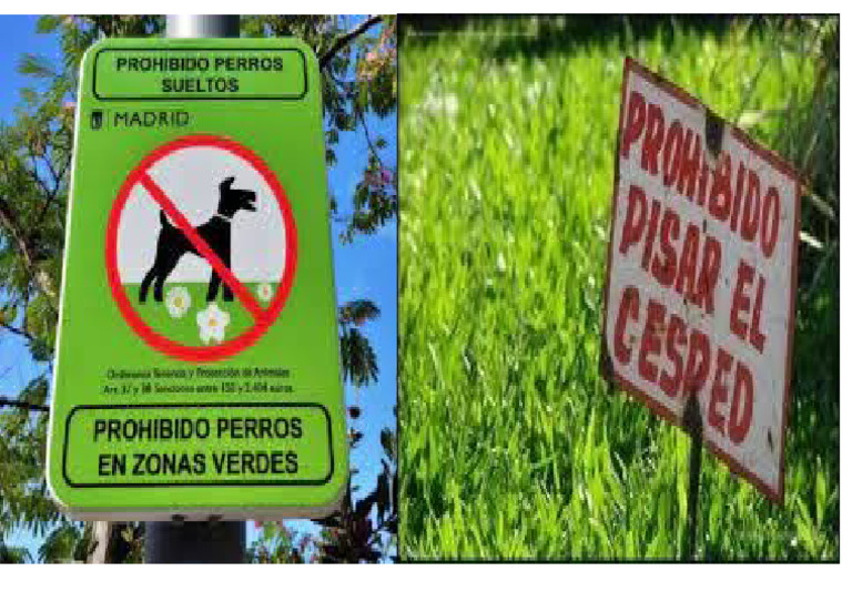 ¿Como Cuidamos Las Plazas | PDF