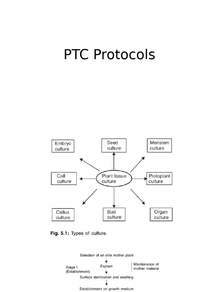 PTC Protocols | PDF