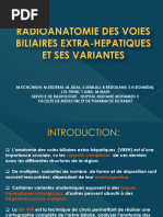 Radiographie de la cheville et du pied | PDF | Pied | Système squelettique
