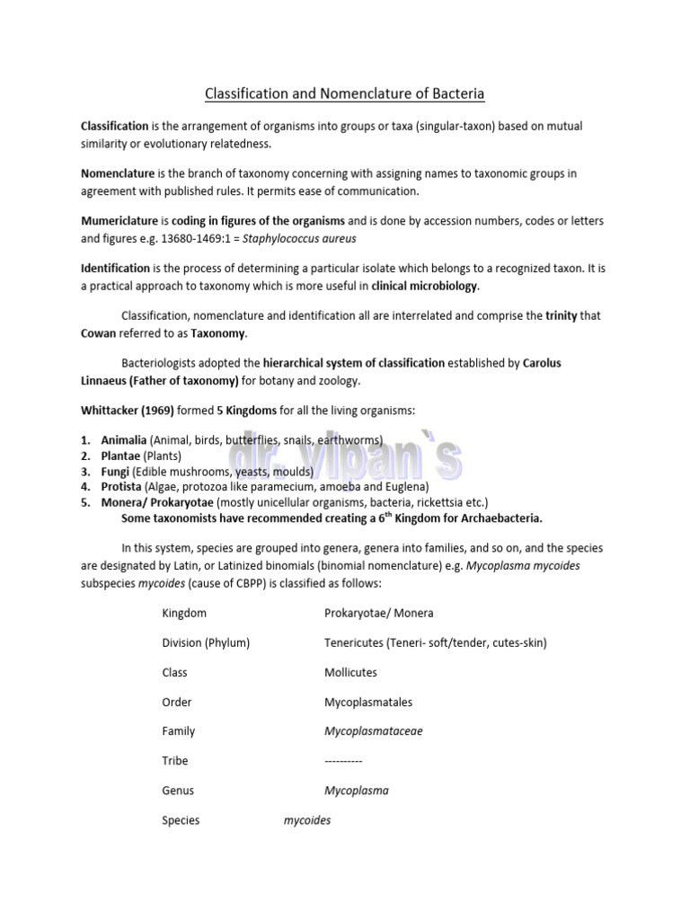 Bacterial Classification | PDF | Bacteria | Gram Positive Bacteria