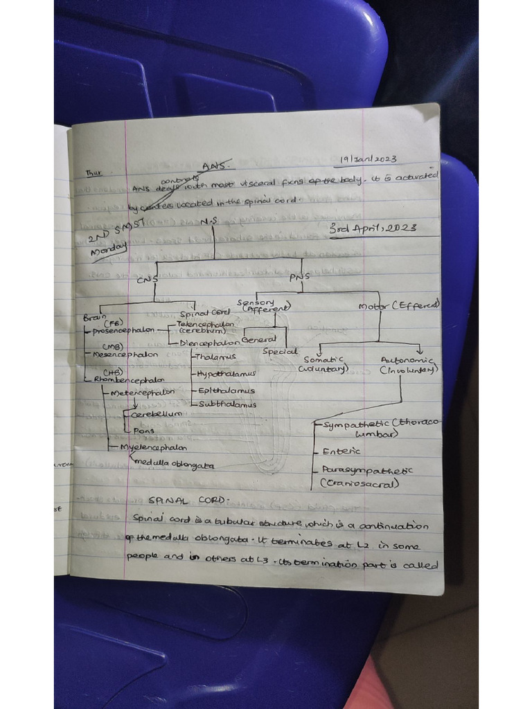 Miranium PIO 492 Tutorial Note | PDF