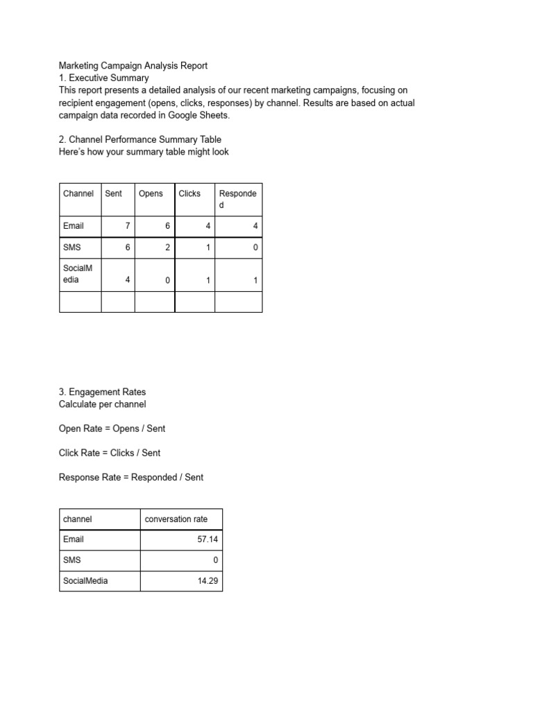 Marketing Campaign Analysis Report | PDF