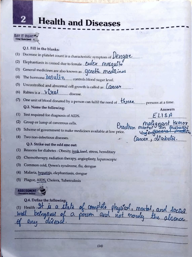 Health and Diseases Overview for Class 8 | PDF | Public Health ...