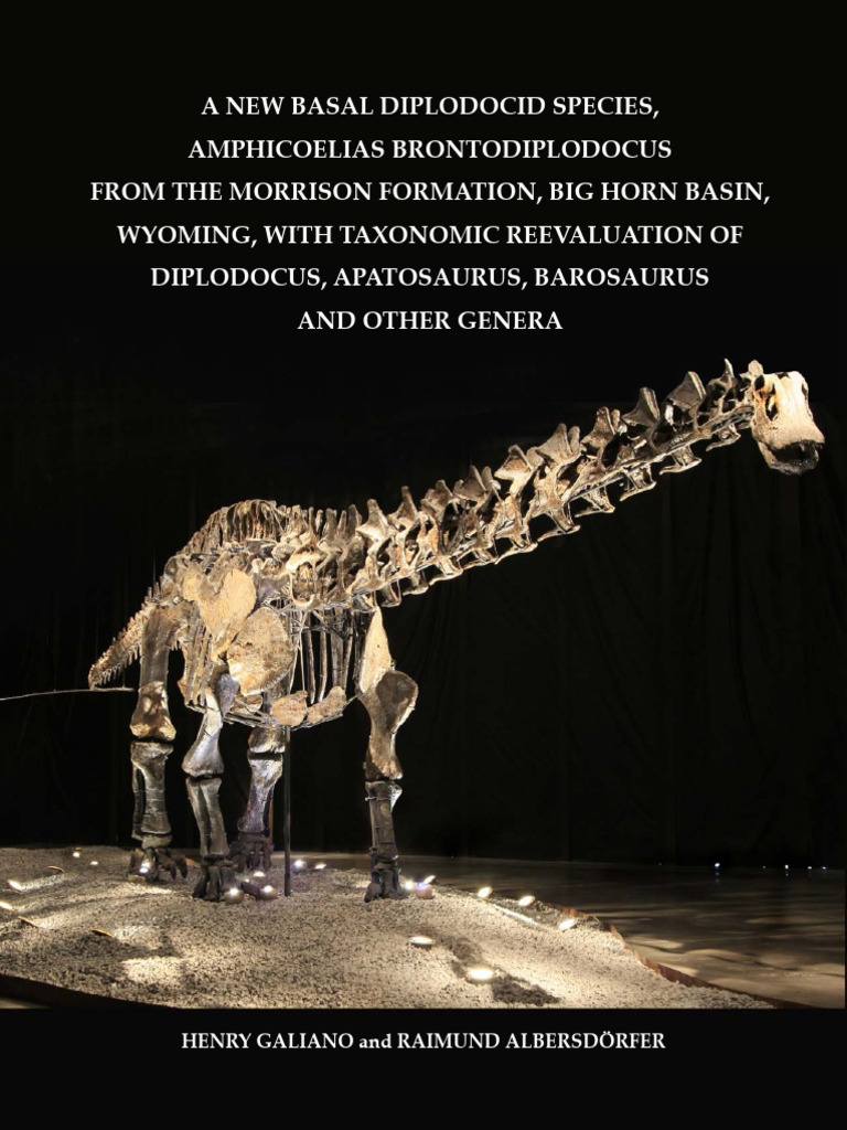 A New Basal Diplodocid Species, Amphicoelias Brontodiplodocus From The ...