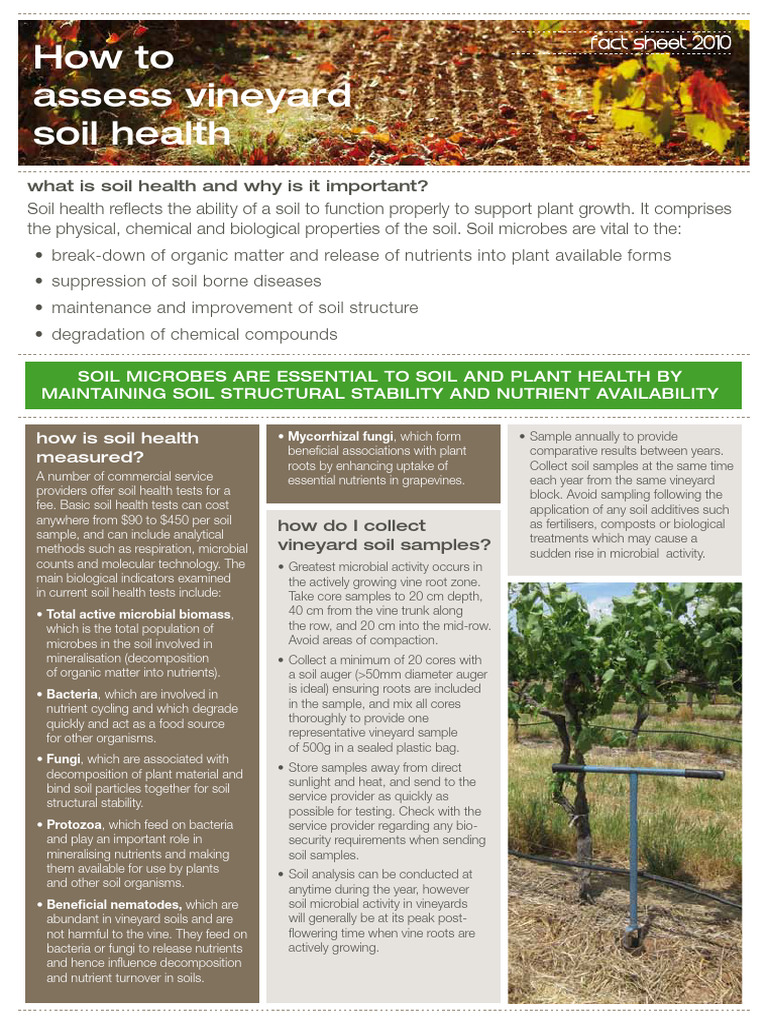 Assessing Vineyard Soil Health Guide | PDF | Soil | Organic Matter