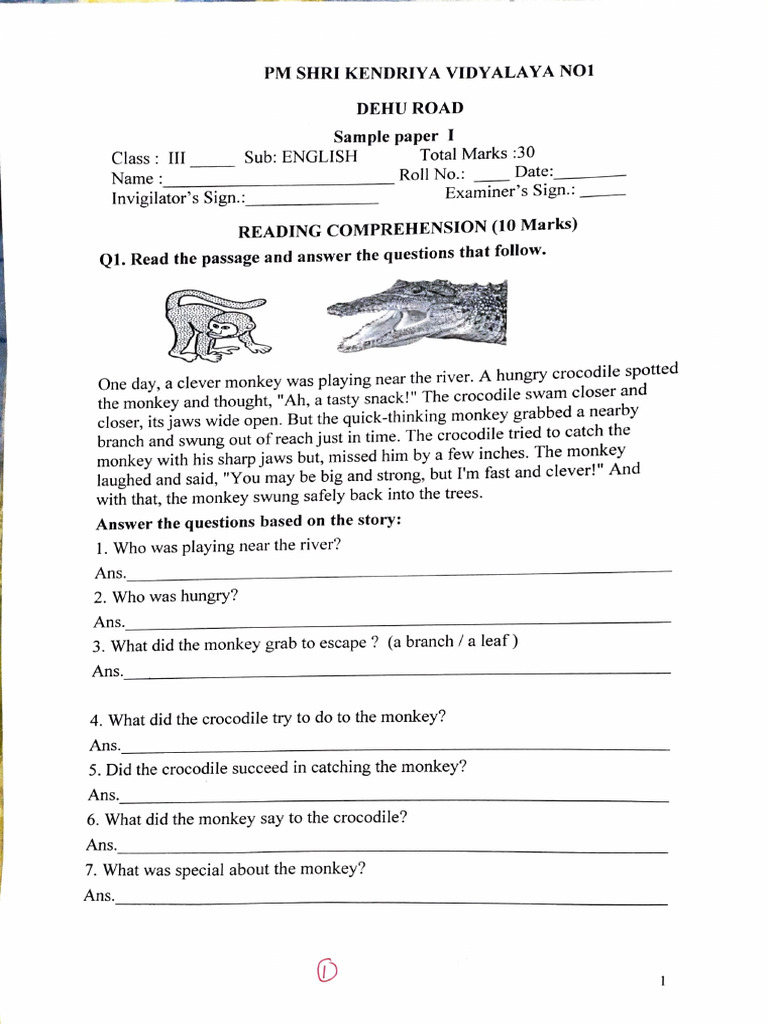 Class 3 English Sample Paper | PDF | Chess | Chess Theory