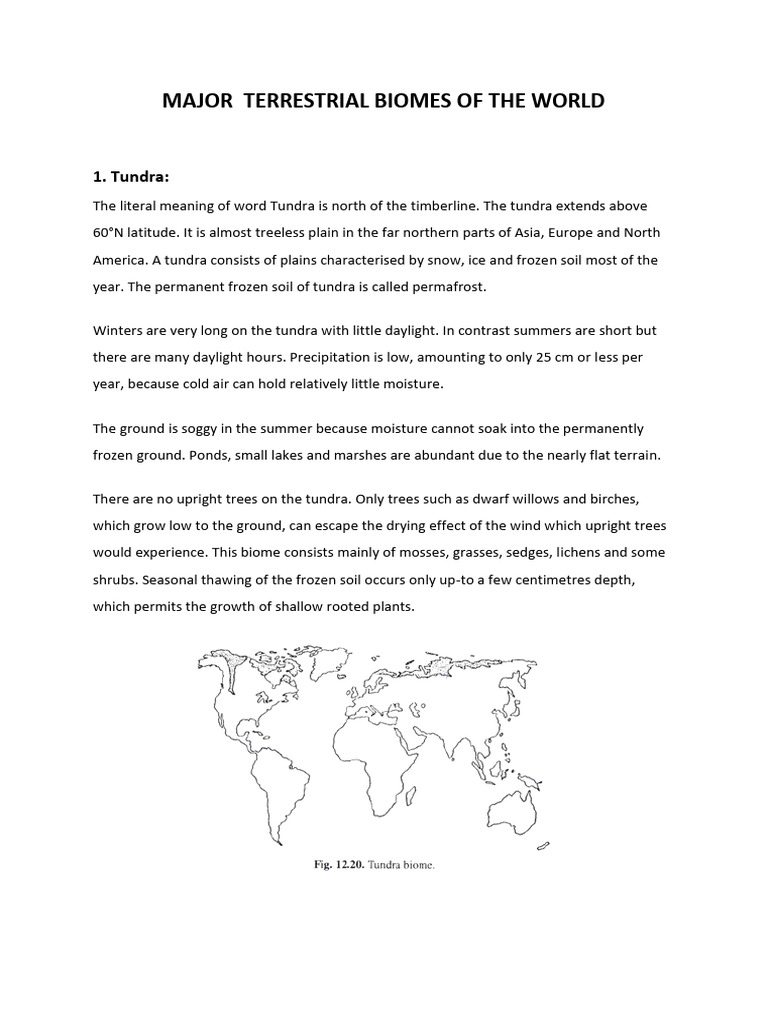 Major Terrestrial Biomes of The World | PDF | Biogeography