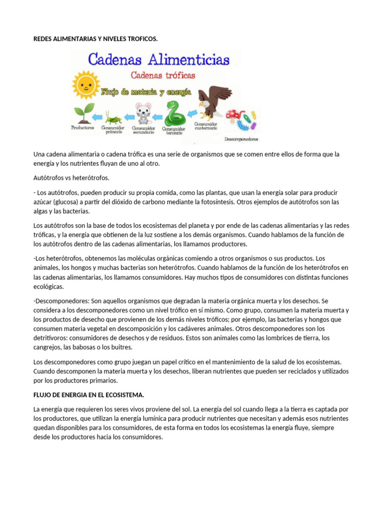 Redes Alimentarias y Niveles Troficos | PDF | Red alimentaria | Entorno ...