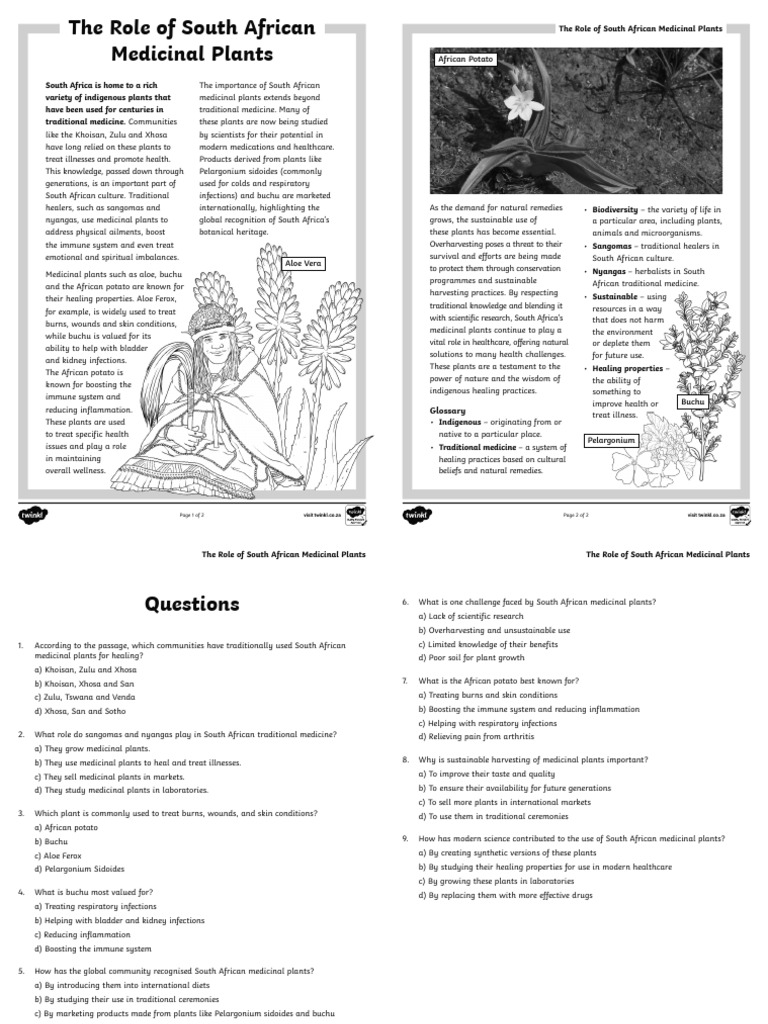 South African Medicinal Plants Overview | PDF | Traditional Medicine ...