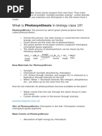 Photosynthesis Overview for Class 10 | PDF