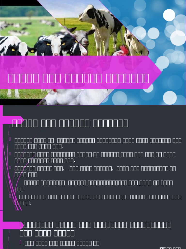 PTS Powerpoint | PDF