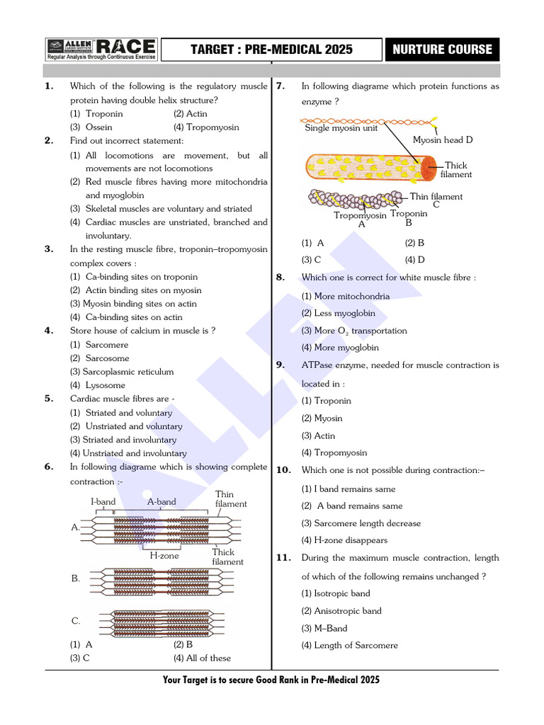 Race 1 1685959858 | PDF | Skeletal Muscle | Skeletal System