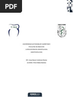 Técnica Gow Gates de Anestesia Mandibular | PDF | Anatomía humana ...